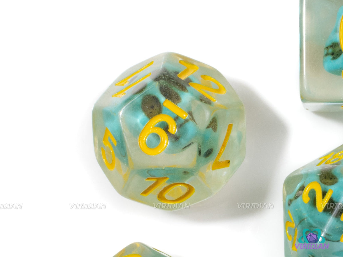 Frostbite | Blue Skull Inside Clear Resin Dice Set (7) | Dungeons and ...